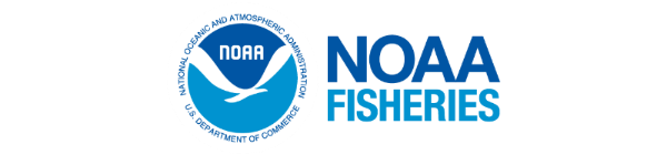 Noaa Fisheries Announces Final 2025 Specifications For The Summer